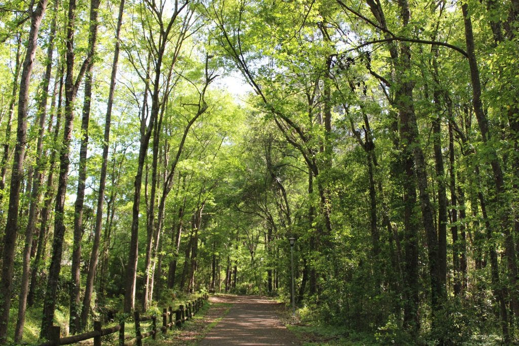 5 Ways An Empath Can Find Rejuvenation In Nature | by Lori Moulton 💗 ...