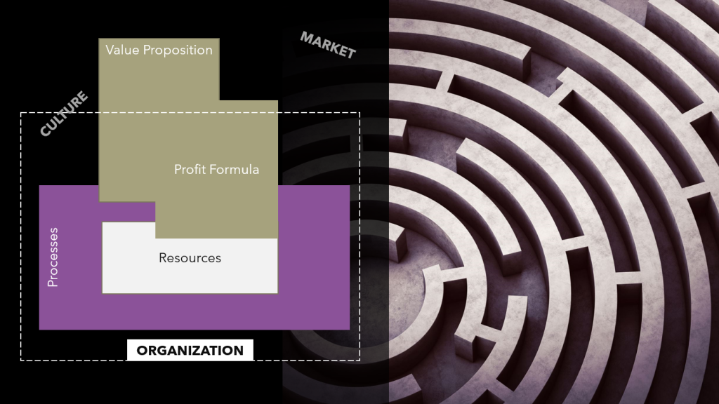 The Evolutionary Quest of Versatile Anticipation — Part 1 | by Andreas ...