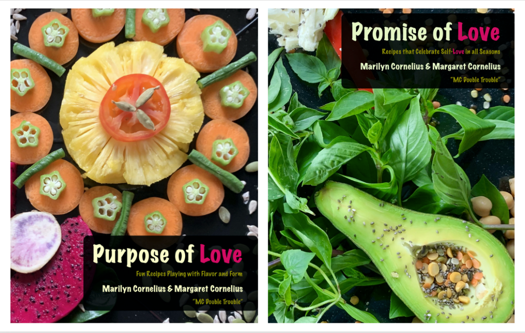 4 Reasons to Fill Your Days with Purpose and Promise: Twin Book Release ...