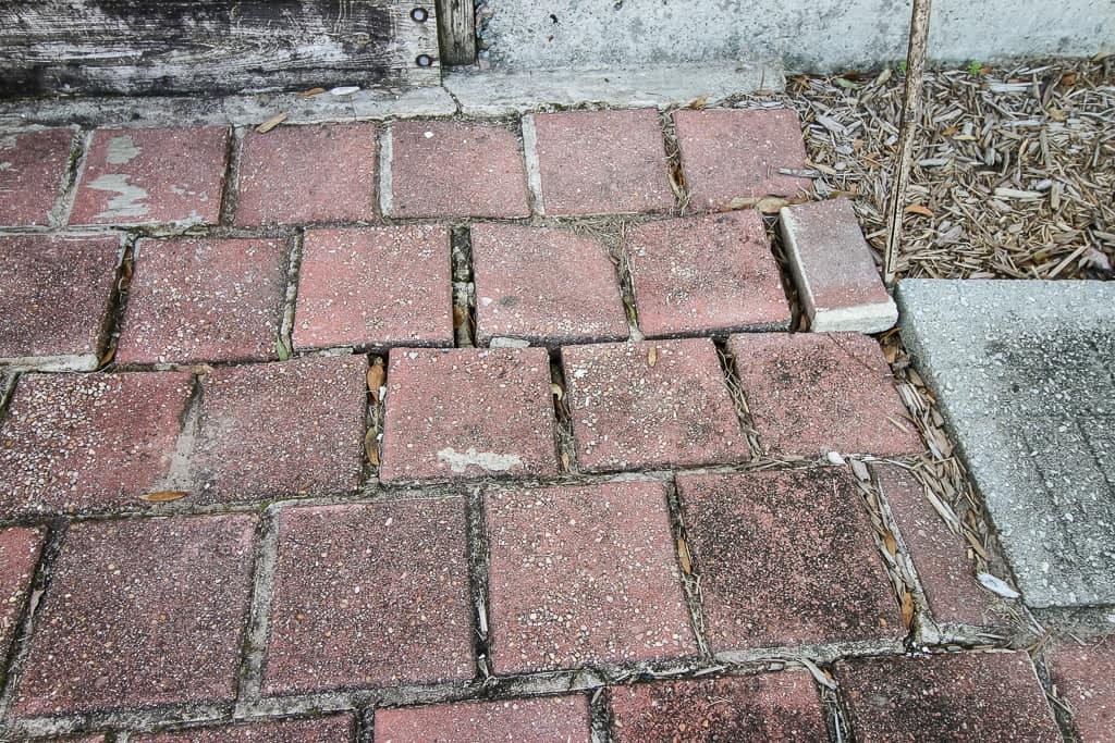 Algorithms 101: Level Patio in JavaScript | by Joan Indiana Lyness | JavaScript in Plain English