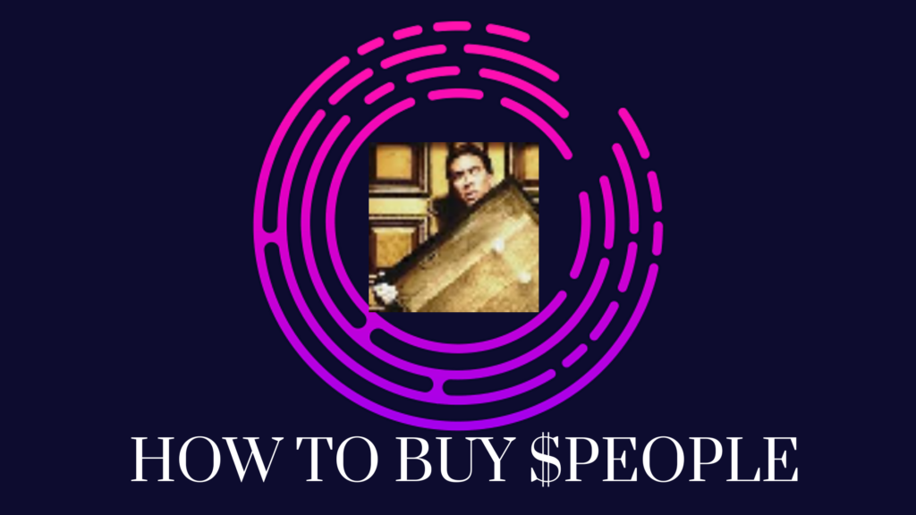 How to Buy Constitutiondao ($PEOPLE) — Beginner’s Guide | by ...