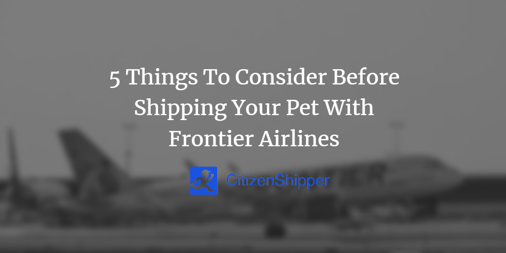 5 Things To Consider Before Shipping Your Pet With Frontier Airlines ...