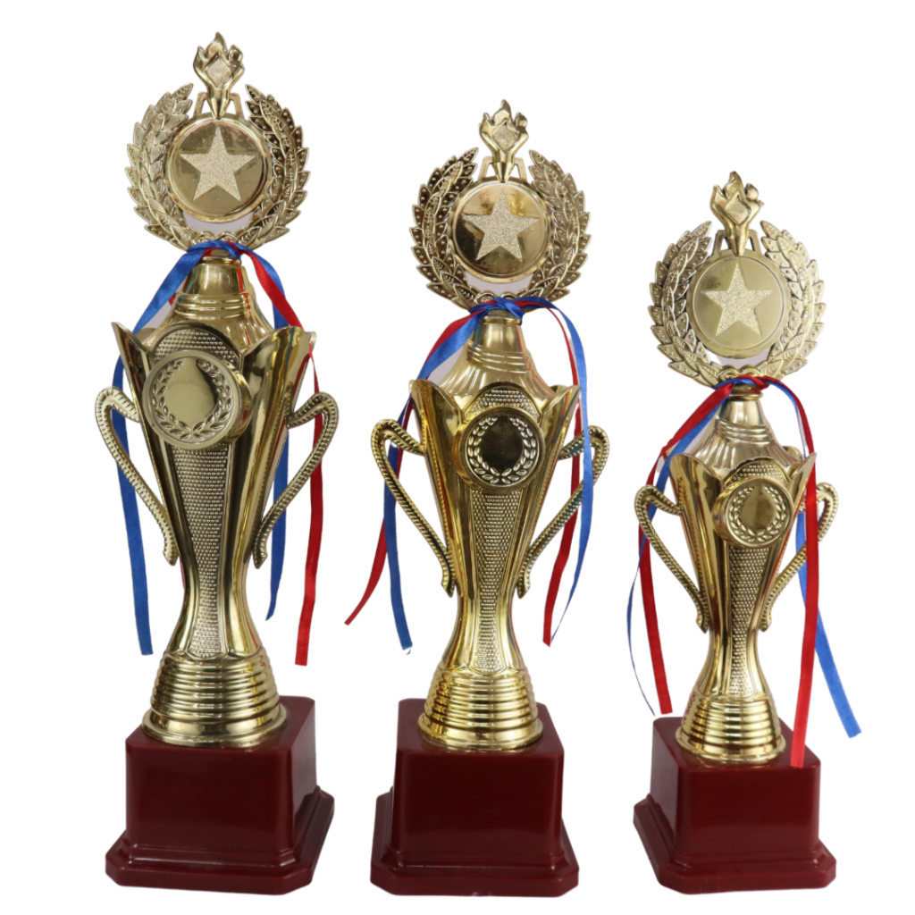 The Power of Trophies and Awards in Motivating Excellence with ...