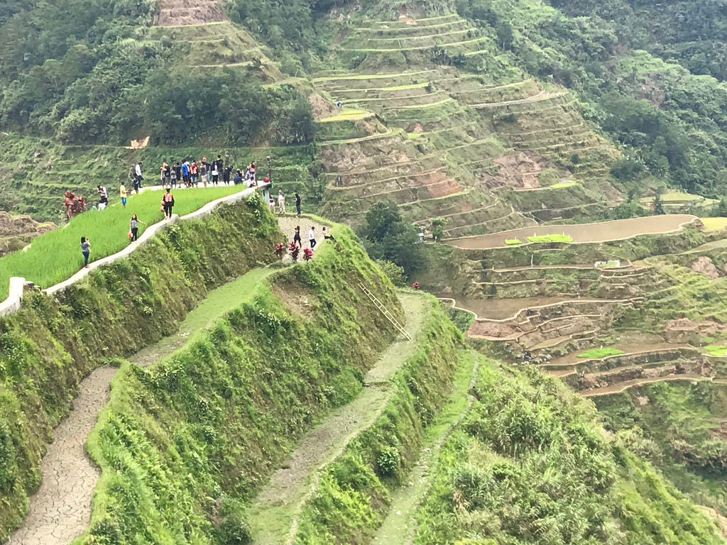 WHS: Rice Terraces of the Philippine Cordilleras | by Alex Curylo | Medium