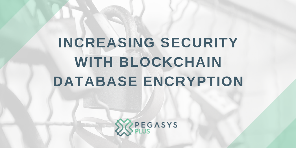 Increasing Security with Blockchain Database Encryption via PegaSys Plus | by Consensys ...