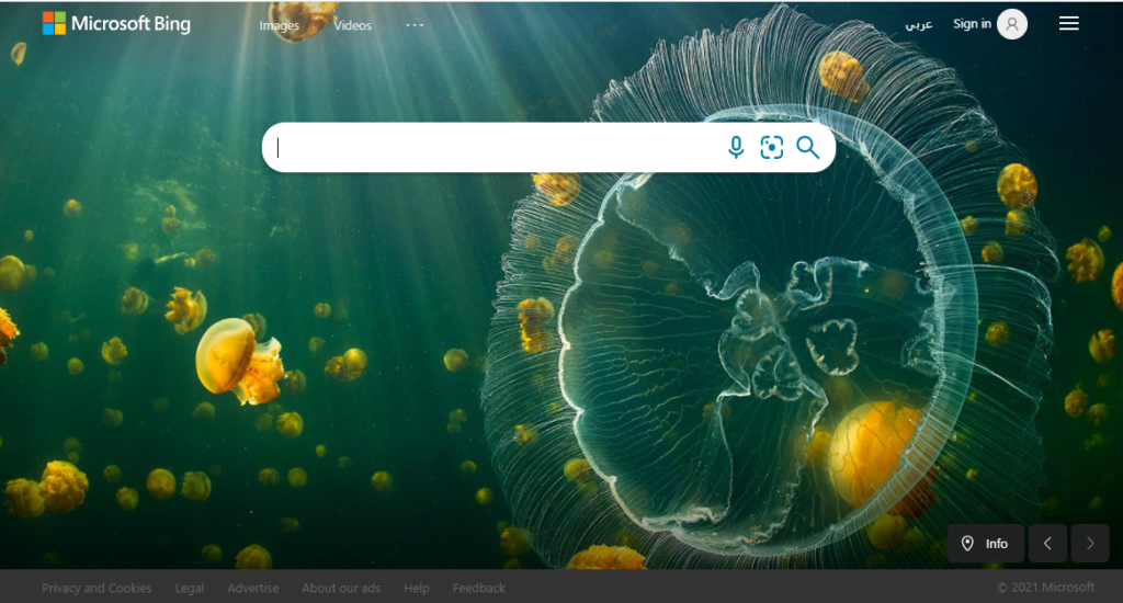 Why Microsoft and Bing Worth Your Attention | by Aymen Tucker | Medium