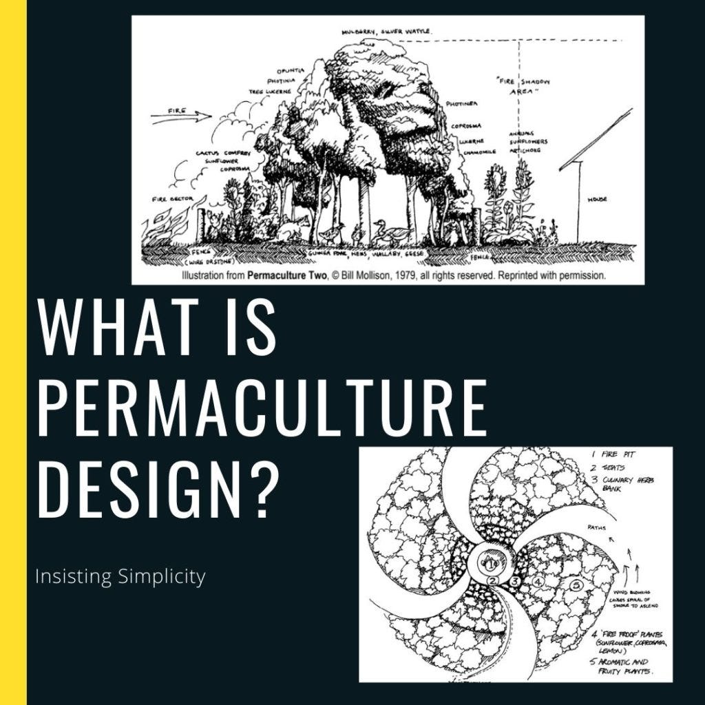 What Is Permaculture Design?. Maybe you’re like me and your interest ...