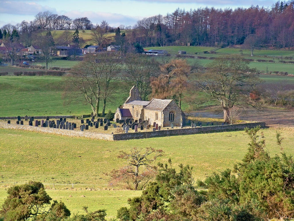 What Have we here?. Latest Glimpses of Eden, The Tablet | by Jonathan ...