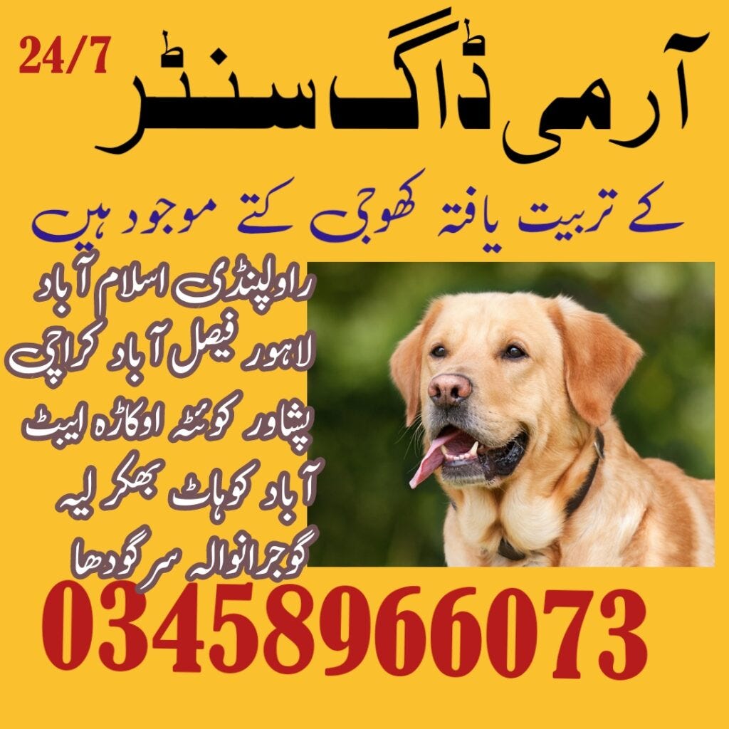 Army Dog Center Pakistan | 03009195279 - Army Dog Center - Medium