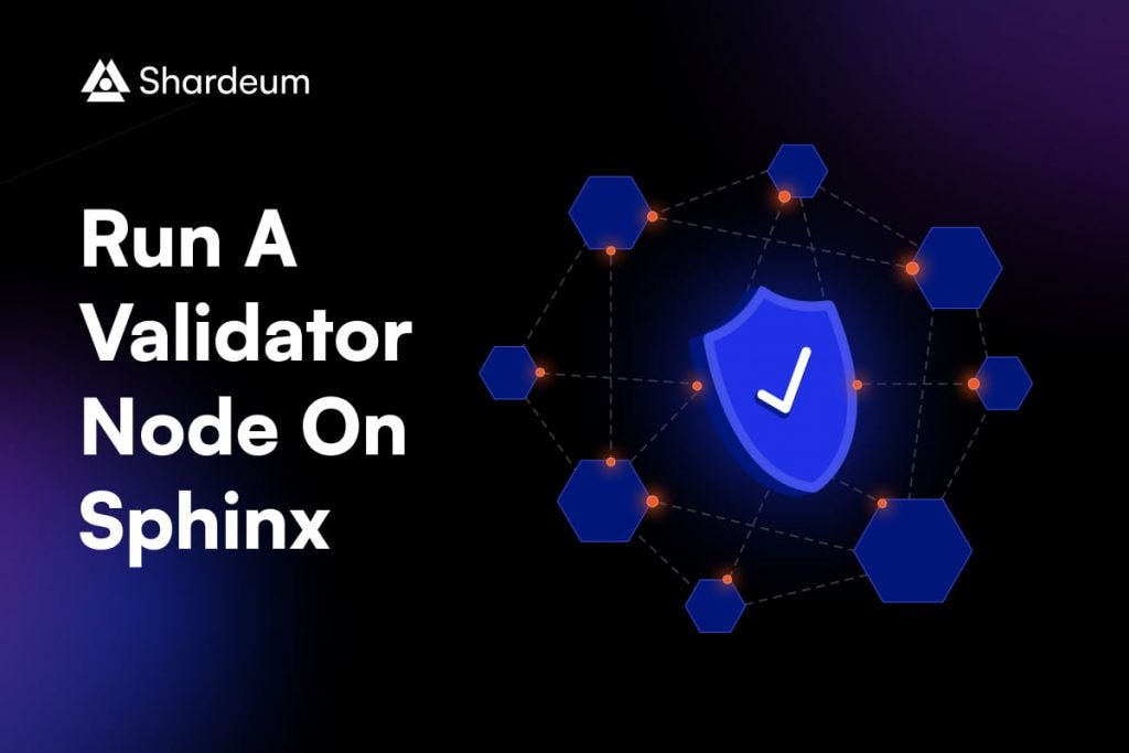 How To Run A Validator Node On Shardeum Sphinx | by Sahana Patil | Medium