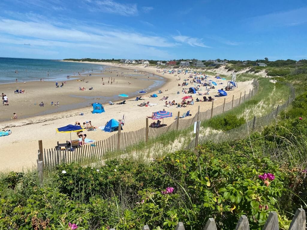 Experience the Whale Watching Cape Cod Season: A Guide | by Lifestyle ...