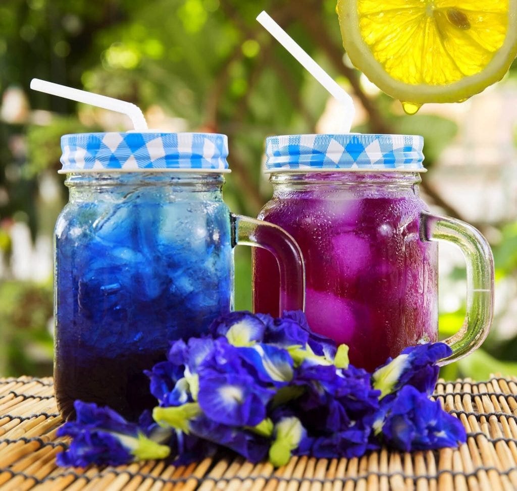 Health Benefits of Butterfly Pea Tea | by Rambinahujanejfj | Medium