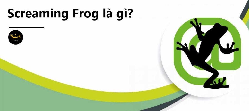 Kiem soat tinh trang website moi ngay voi Screaming Frog | by Terus ...