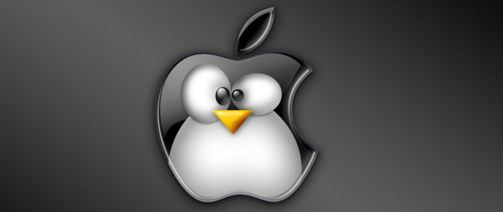 Switching between Mac and Linux made easier | by FenixAra | Lynk Miles ...