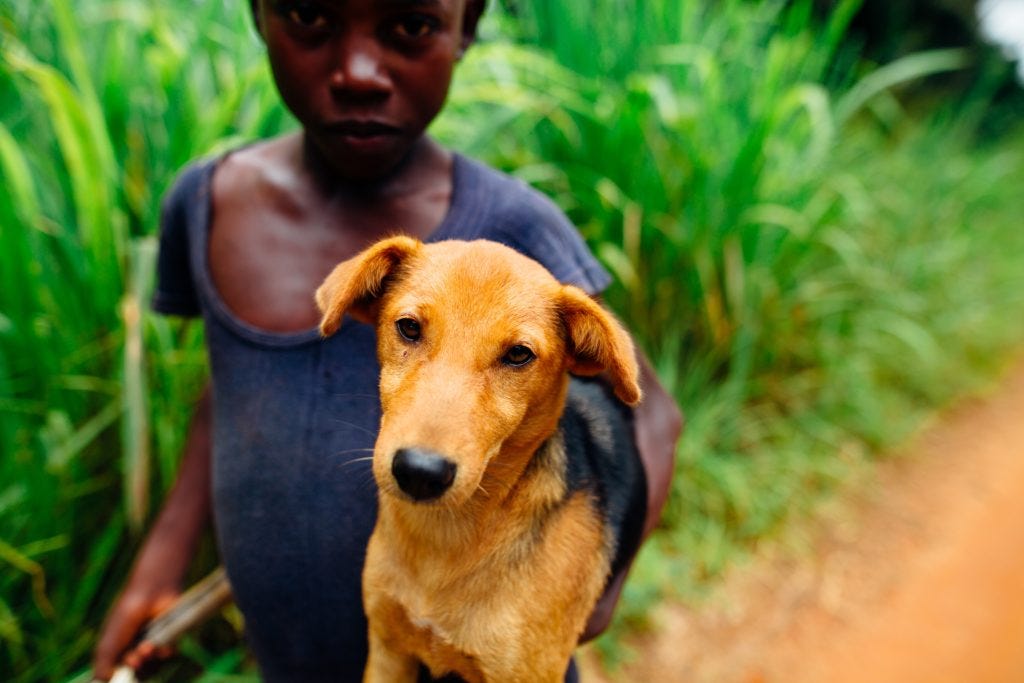 The Human Animal Bond. The human animal bond cuts across age… | by ...