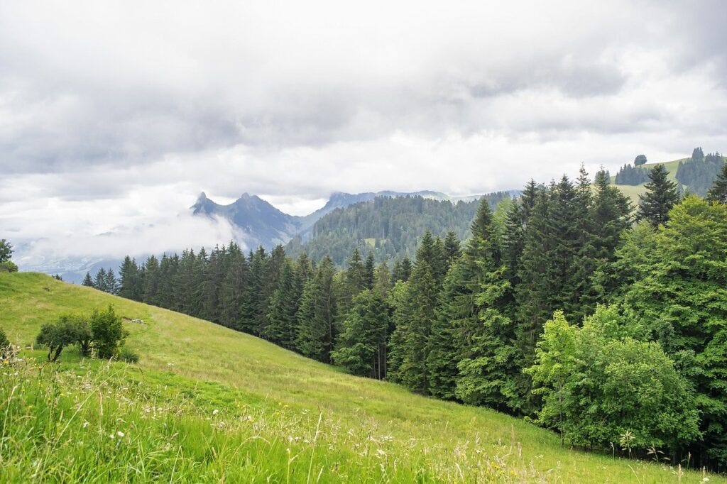 Outdoor Adventures–Skills For The Great Outdoors | by Eric Trowbridge ...