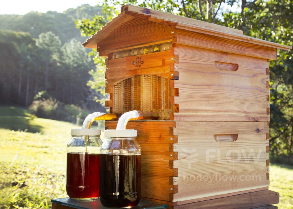 Down with the Flow Hive. A quick breakdown of a $2 million… | by Ania ...