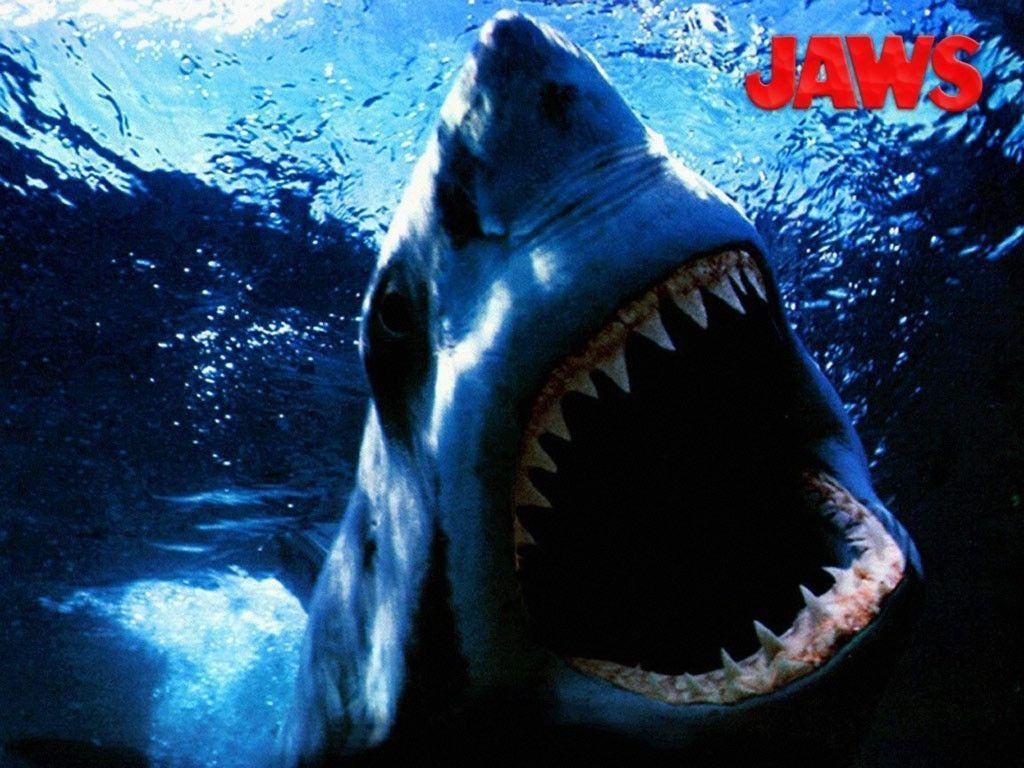 Terror from the Deep: How Jaws Changed Cinema Forever. | by Rino ...
