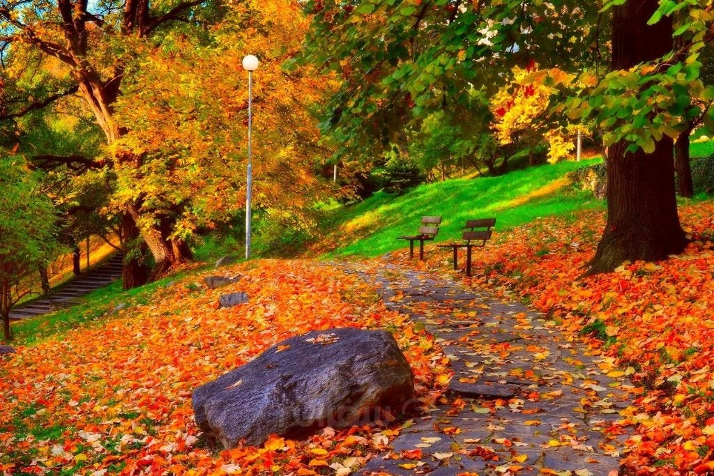 ایران و زیبایی های آن در پاییز - Safaraneh - Medium