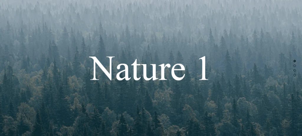 Full-Screen Scrolling Using PagePiling.js - w3hubs - Medium