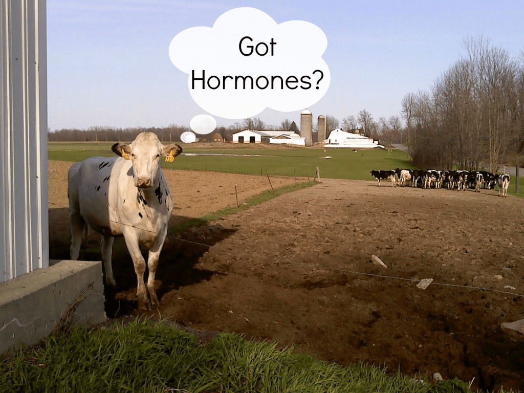 The Health Hazards of Factory-Farmed Meat and Dairy - Cruelty farm - Medium