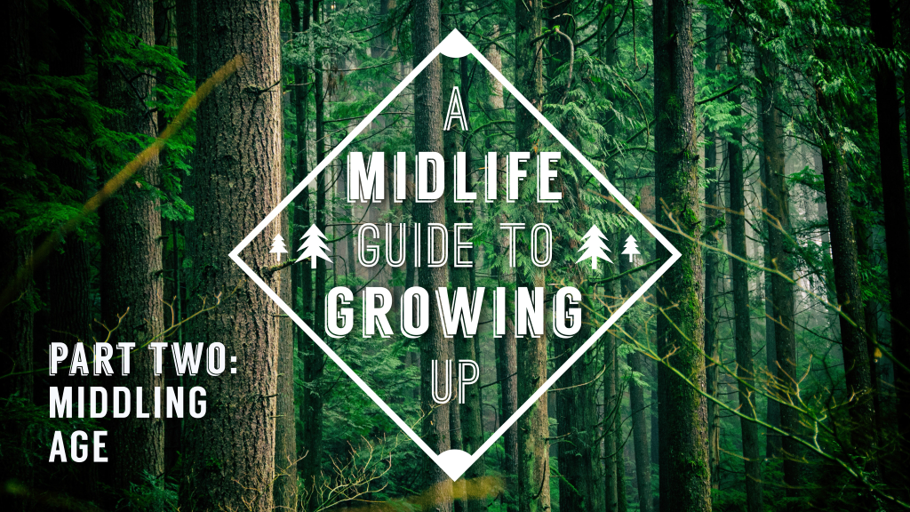 Middling Age. Part 2 in the “A Midlife Guide To… | by Ryan Straits ...