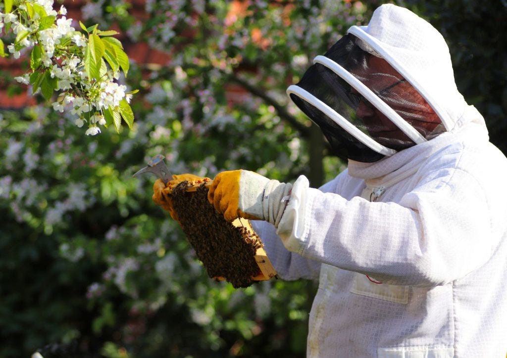 The Fascinating History of Honey. Honey has been used for centuries in ...
