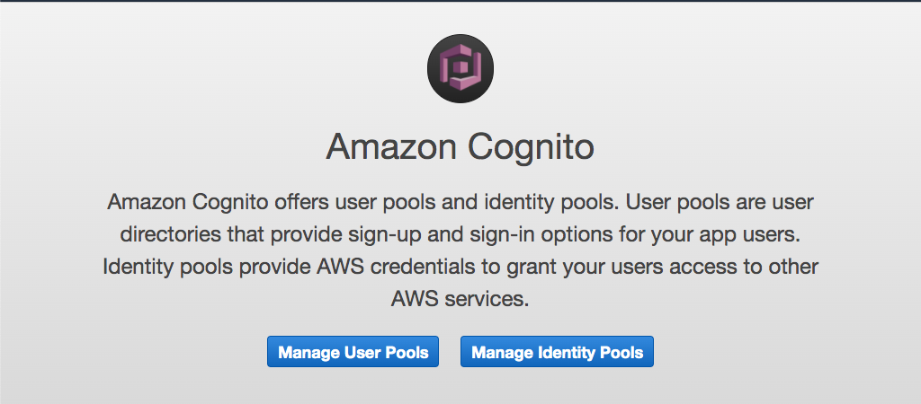 Agnita: Authentication for Create React App using AWS Cognito | by Bart Wijnants | Level Up Coding