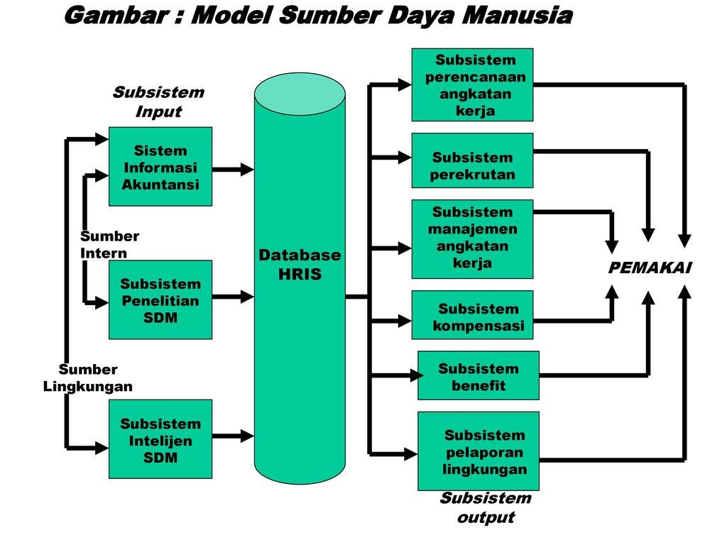 Sistem Informasi Sumber Daya Manusia | by dwi febriana | Medium