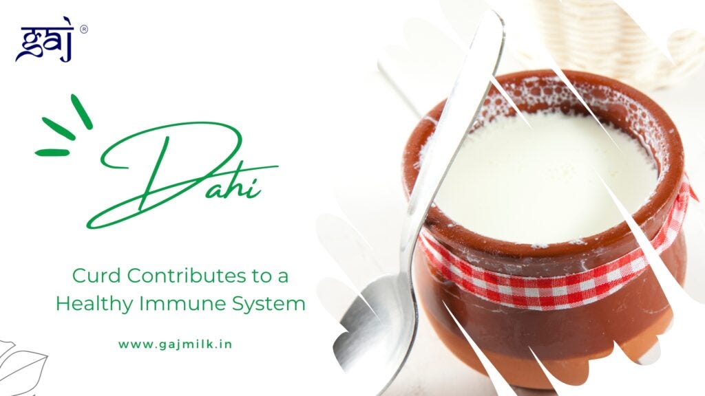 The Curd Connection: How Curd Benefits Your Immune System | by GajMilk ...