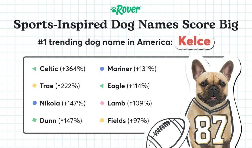 Baseball Dog Names: Hit a Home Run with These Picks! | by Freeda Mast ...