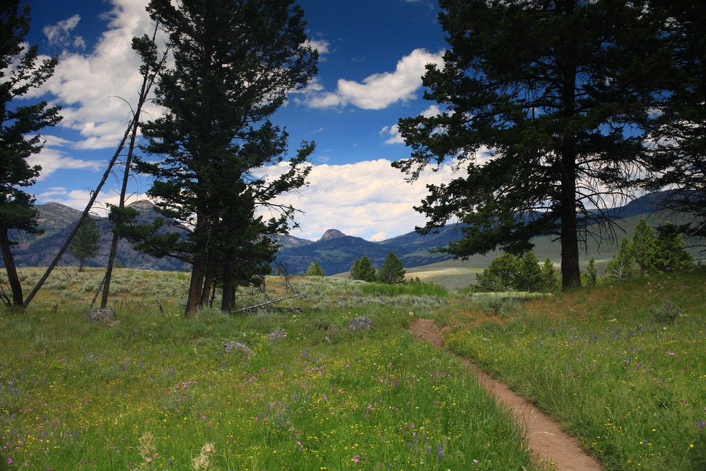 Epic Life Quests. It is easy to get caught up in the… | by Bert Wagner ...