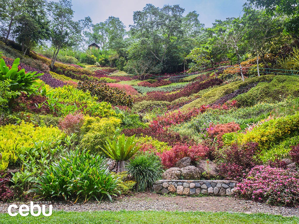 Lakeview Le Jardin: Enchanting Gardens and Gourmet Delights | ILLUMINATION