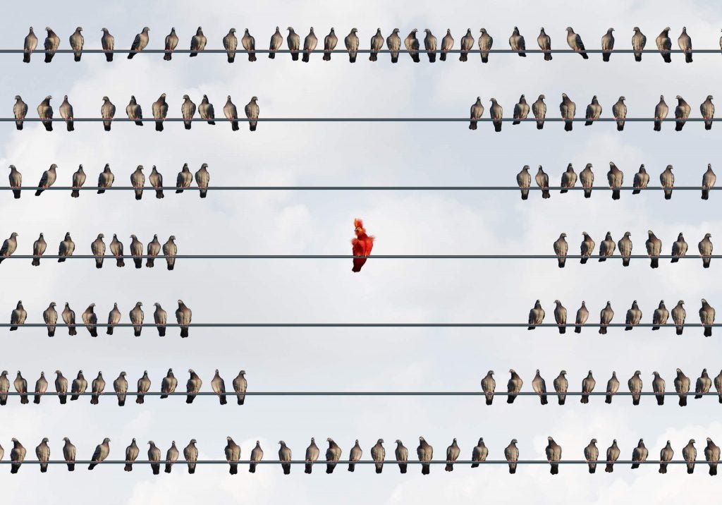 Feeling Like an Outcast After Being the Narcissist’s Scapegoat | by Jay ...