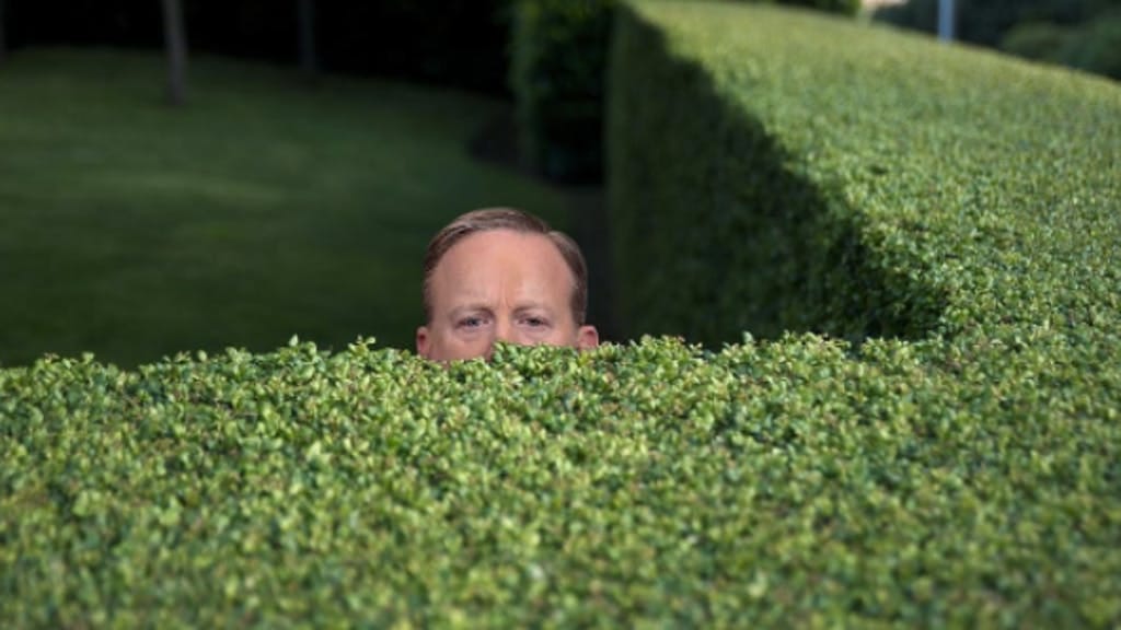 Letter From The Guy Hiding In The Bushes | by Charan Pandher | The ...