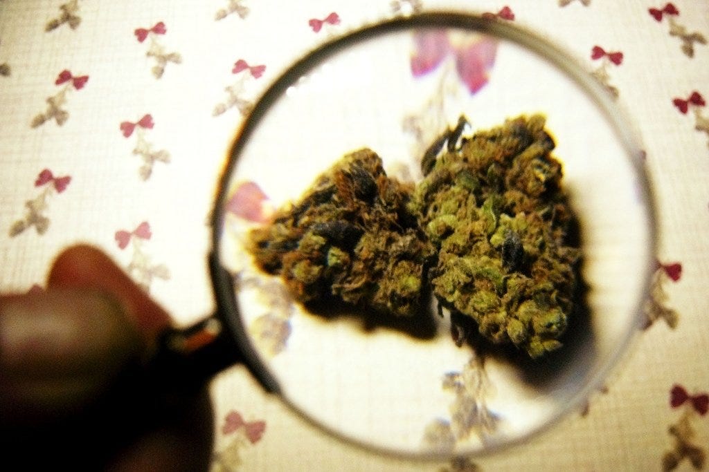 Can Smoking Pot Cause Vomiting? A Very Real Syndrome Few People Have ...