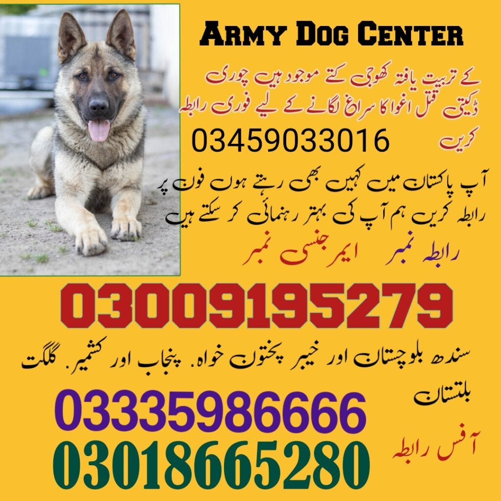 Army Dog Center Faisalabad | 03018665280 - Army Dog Center Rawalpindi ...