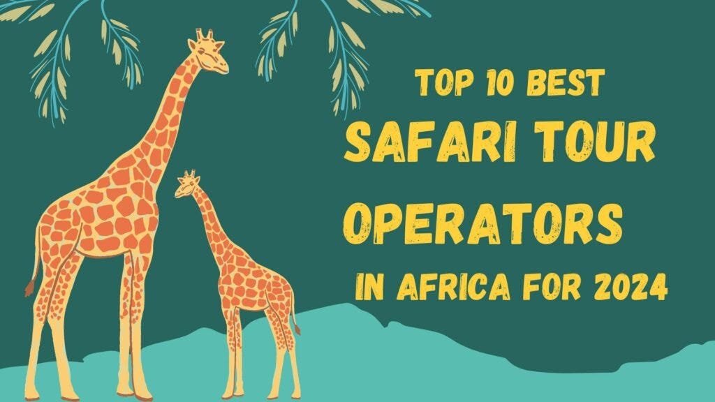 Top 10 Best Safari Tour Operators In Africa For 2024 | by Mara Triangle ...