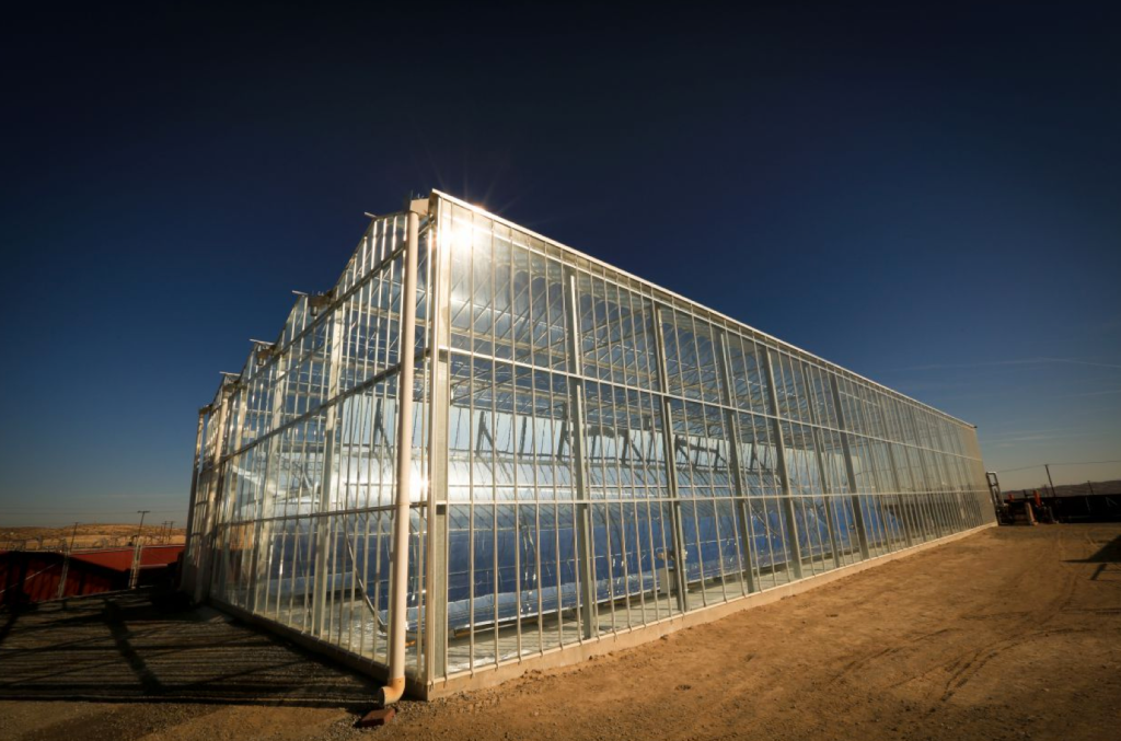 FORTUNE: A massive solar farm will help produce oil in Oman | by ...