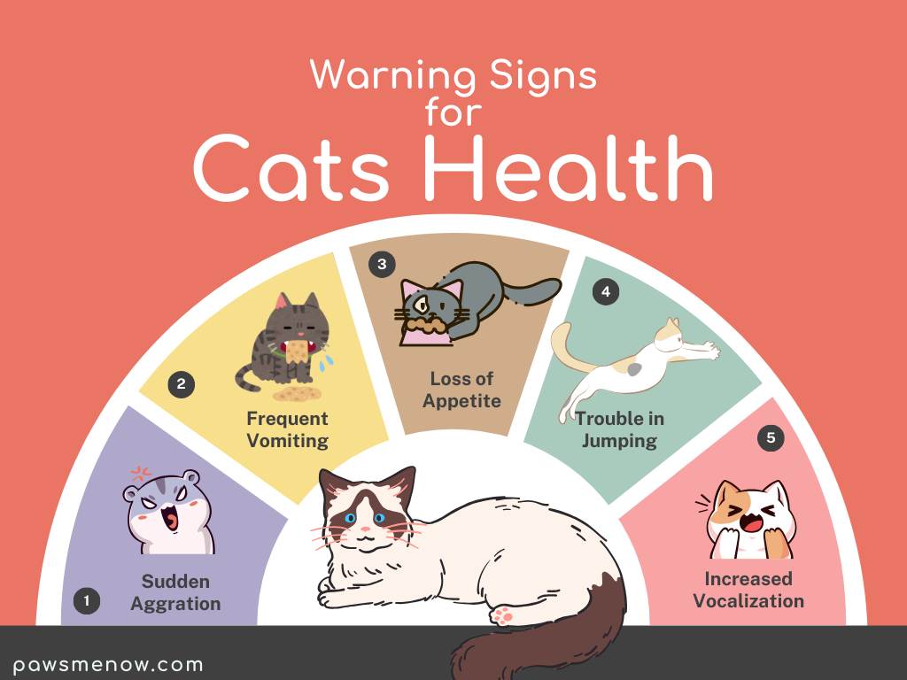 10 Warning Signs to Identify Your Cat is Crying for Help | Medium