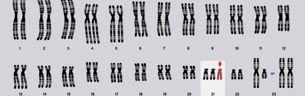 X-ray ptychography: Seeing chromosome abnormalities in a new light | by ...