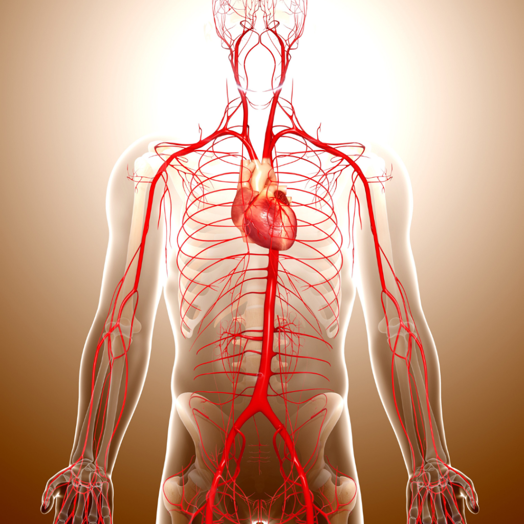 SIX SCIENTIFIC WAYS TO BOOST CIRCULATION | by Jason Jaquays-Tarbox ...