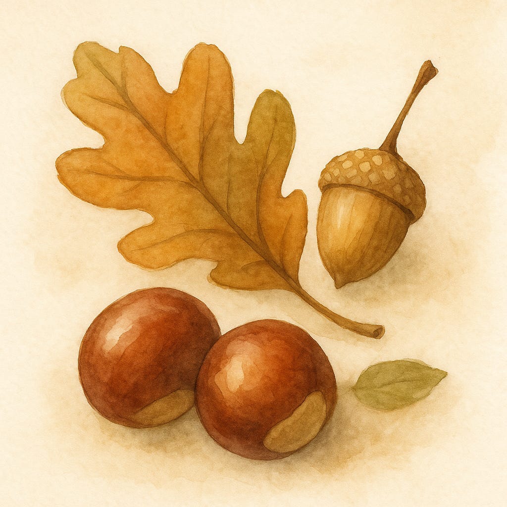 Cocooning Series: Serenity Strategy 2 — Restorative Resilience | by ...