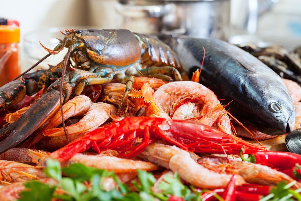 5 SeaFood Yang Paling Sehat Untuk Tubuh | by Cantikatikaay | Medium
