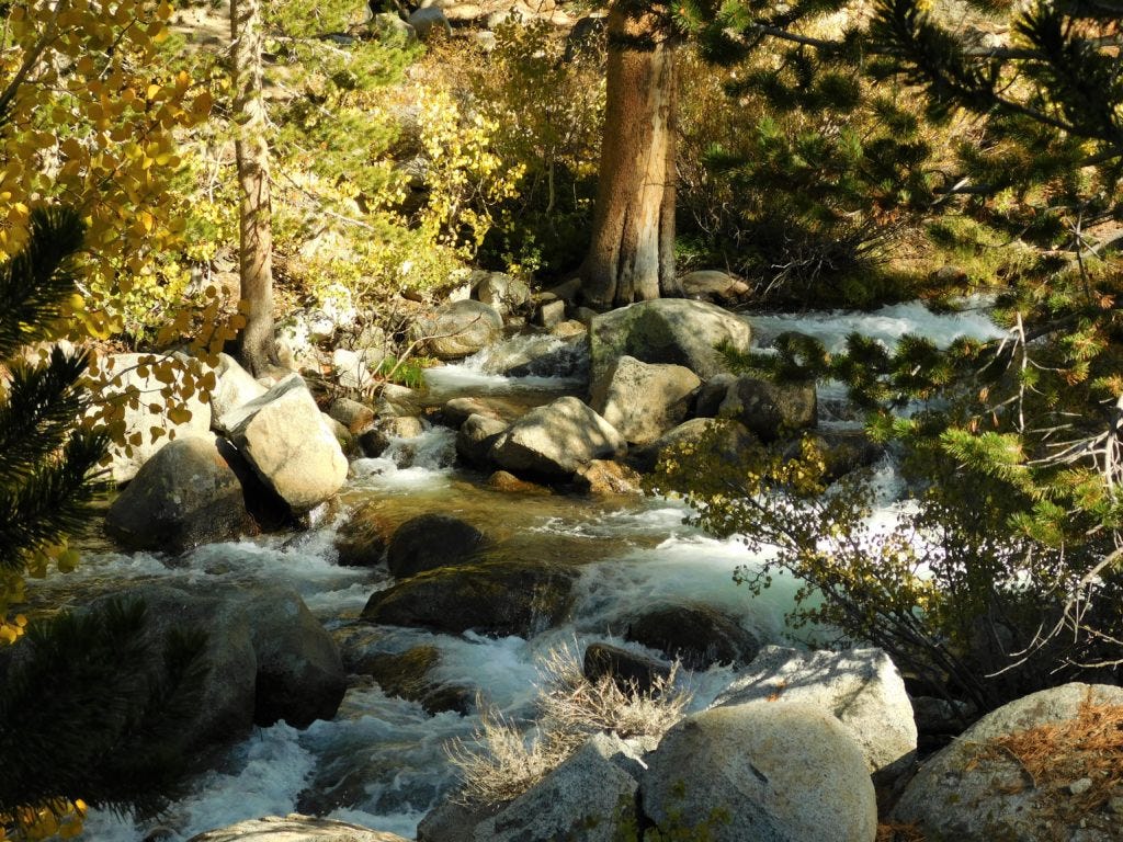 Stream Crossing. There are times in our lives when we… | by Zen ...