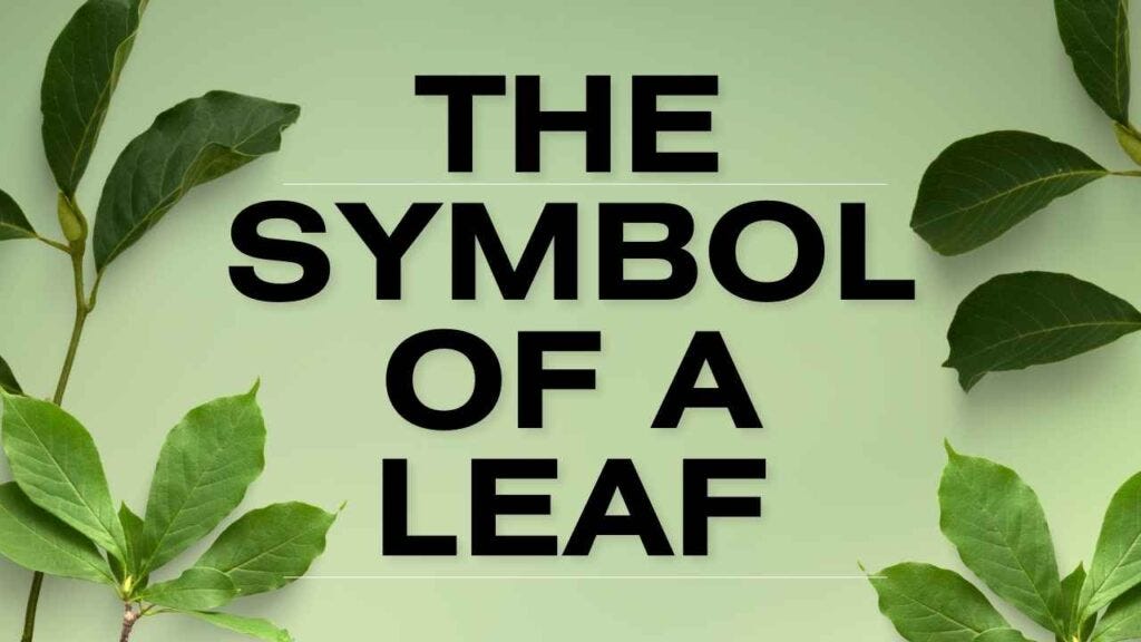 The Symbol of a Leaf: Nature’s Quiet Messenger | by Arbaz | Medium