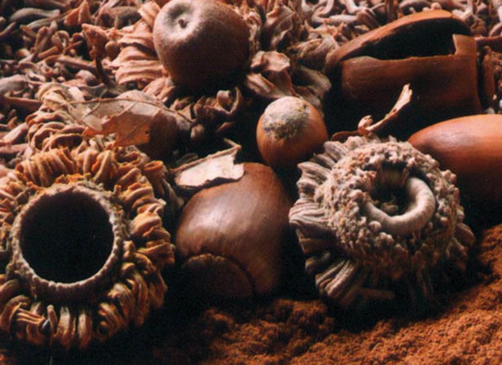 Which plants are suitable for a fully and eco-friendly vegetable ...
