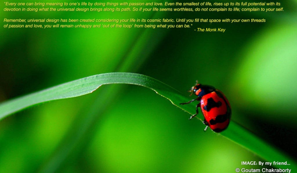 The Monk Key. Life, Love and Live… is “The Monk Key.”… | by Shashi | Medium
