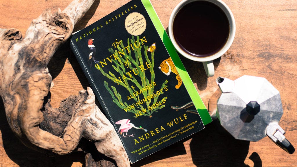 The Call to Travel & The Invention of Nature | by Divina Kate Blog | Medium