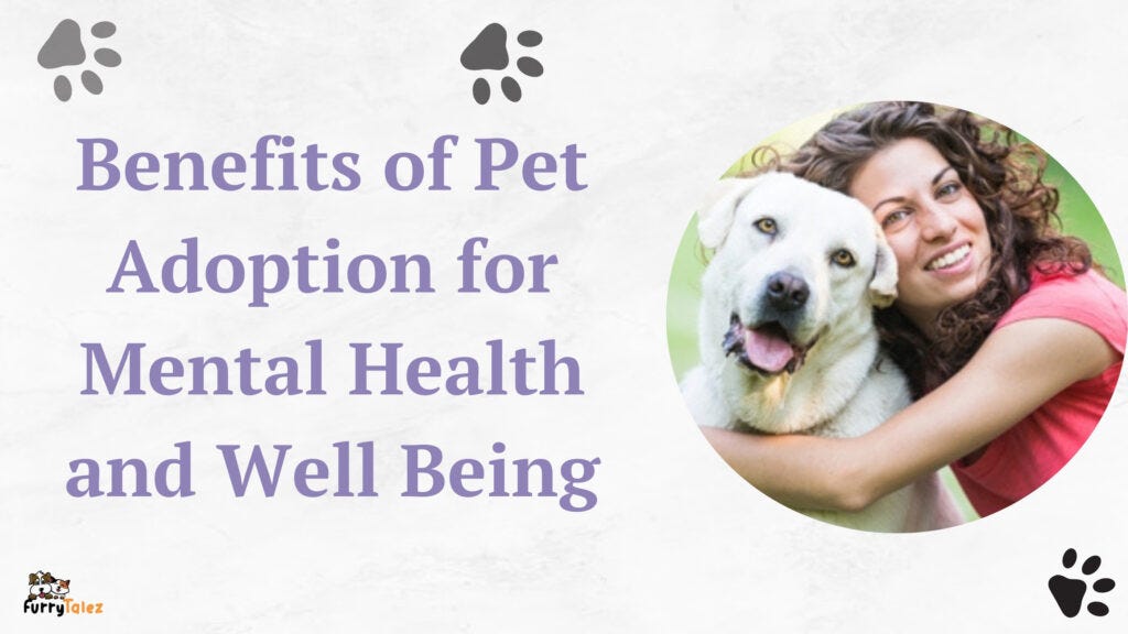 Benefits of Pet Adoption for Mental Health and Well Being - Mithilesh ...